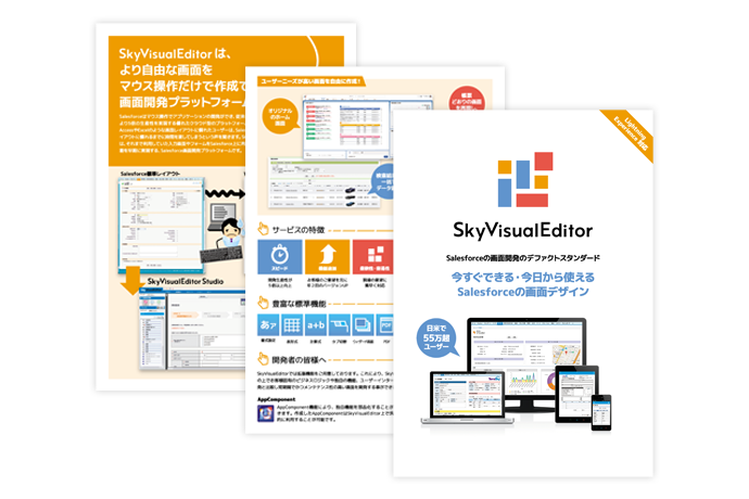 Salesforceをもっと使いやすくする『SkyVisualEditor』のパンフレット | 資料ダウンロード | 株式会社テラスカイ